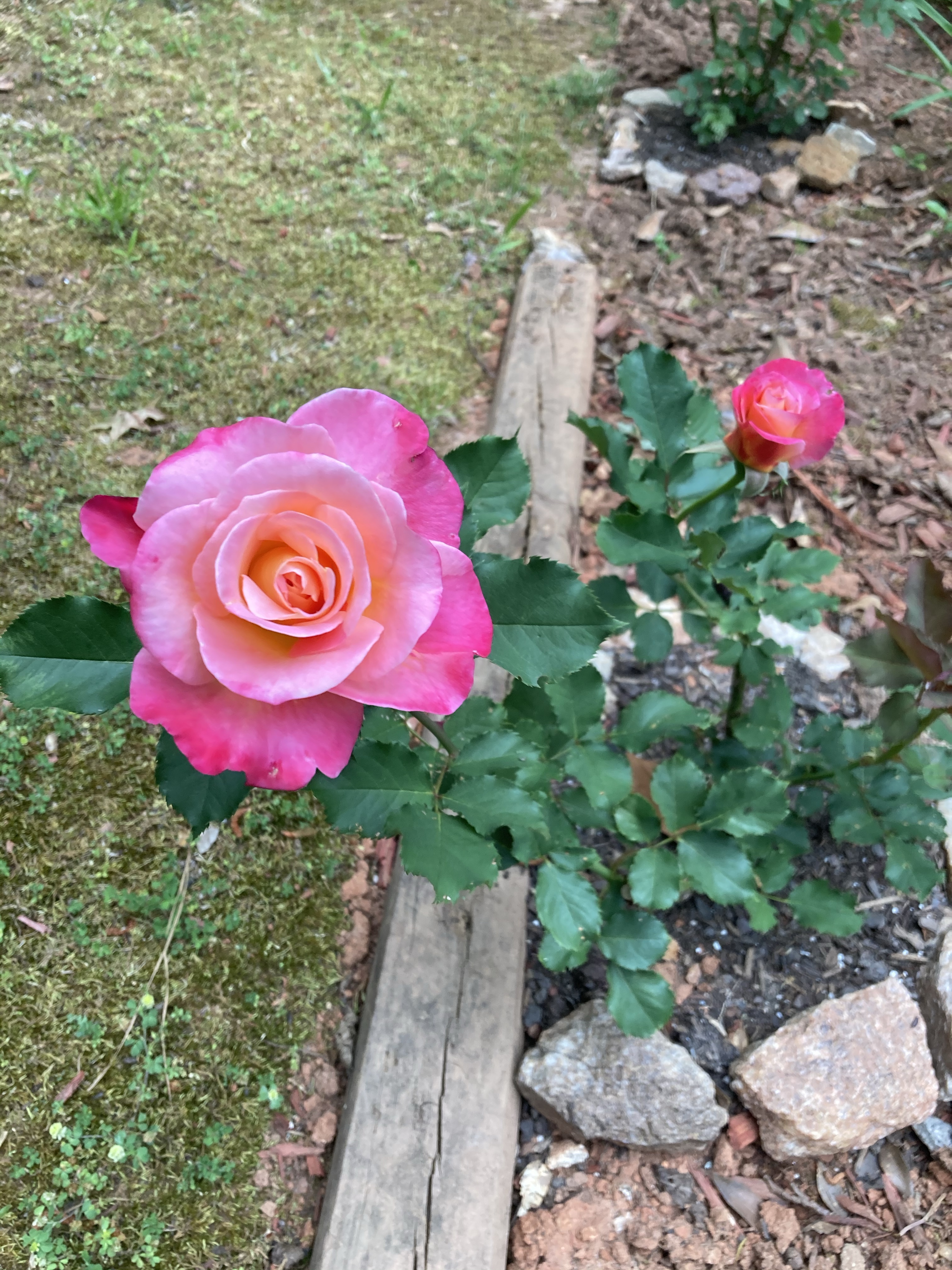 Miracles in the Mundane * – The Good Word